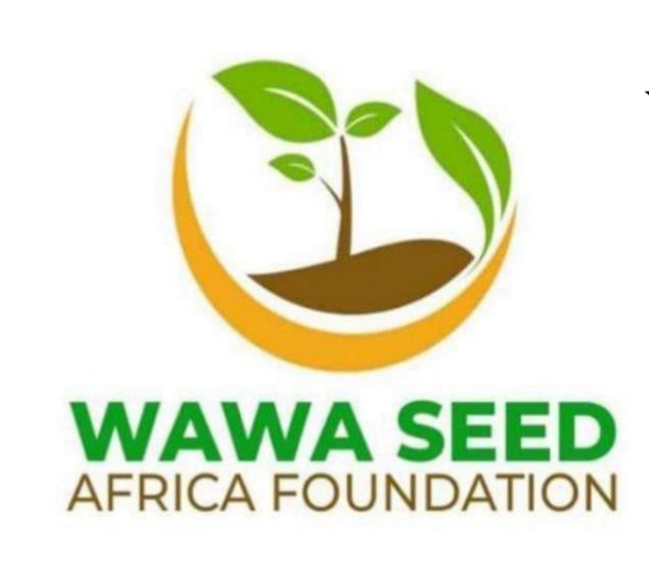 Wawa Seed Africa Foundation (WASAF) | Empowering Children, Women ...
